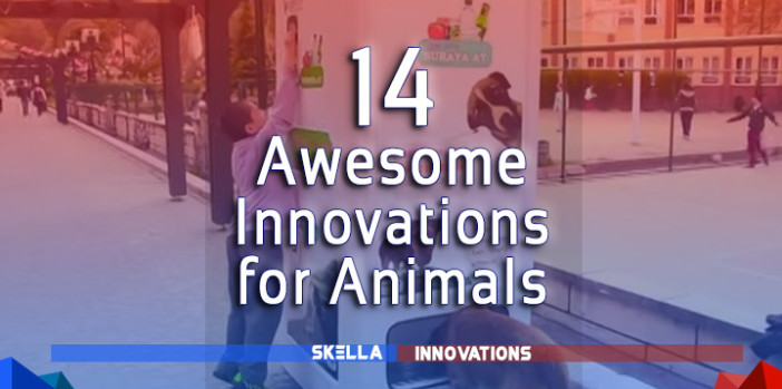 Amazing Technology, Invention and Innovation for Animals